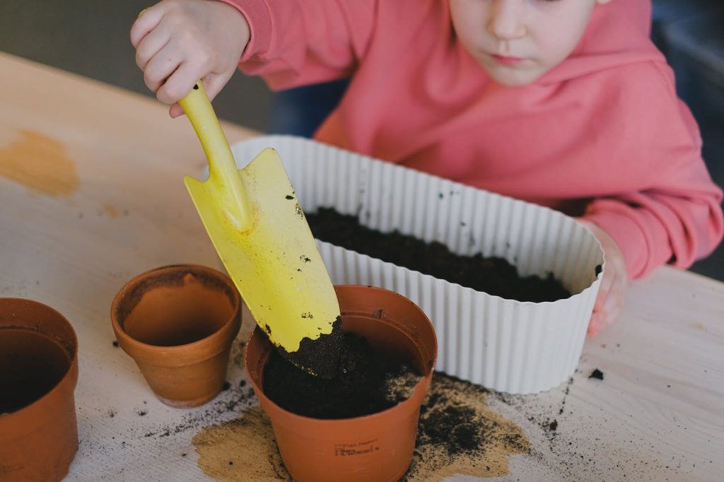 Exploring Nature's Toolbox - Enhancing EY Play With Natural Materials